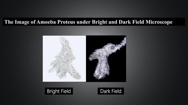 Dark Field Microscope (SHOPNIL AKASH) | PPTX