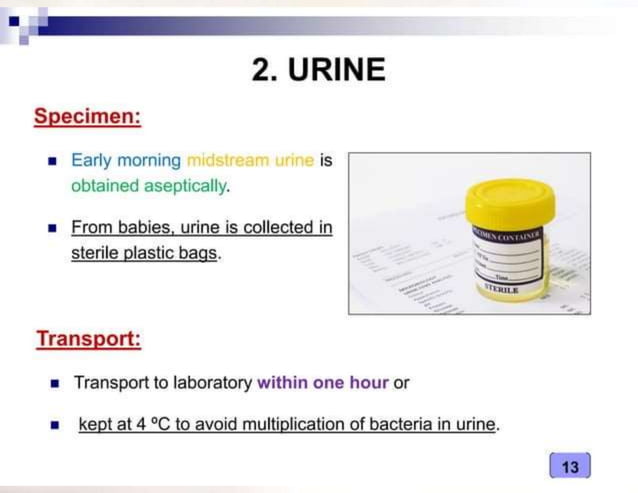 microbiology_sample_collection.pptx