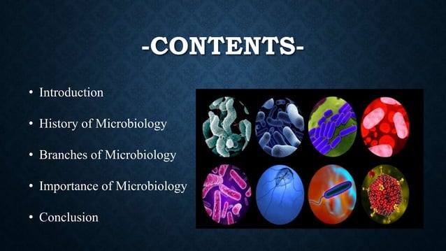 MICROBIOLOGY | PPTX