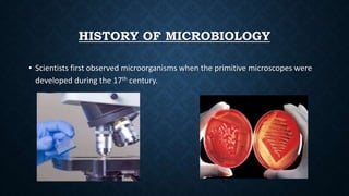 MICROBIOLOGY | PPTX