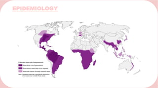 Histoplasmosis | PPTX
