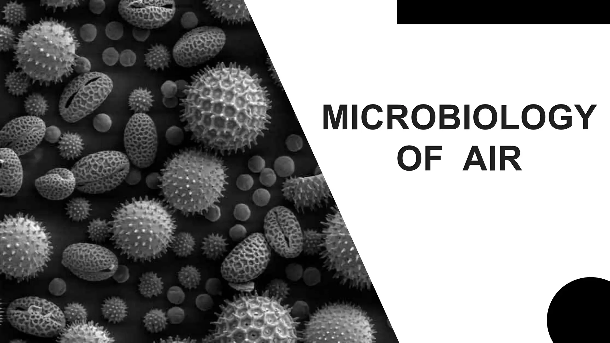 Microbiology of air | PPTX
