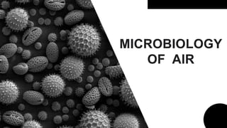 Microbiology of air | PPTX