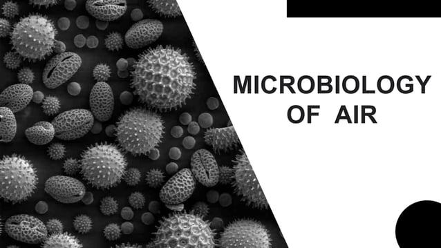 Microbiology of air | PPTX | Indoor Environmental Quality | Home & Garden