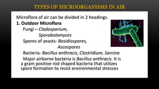 Microbiology of air | PPTX