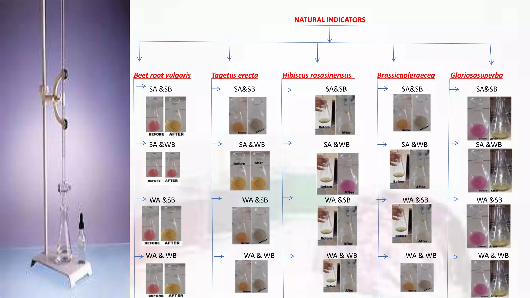 NATURAL INDICATORS | PPTX