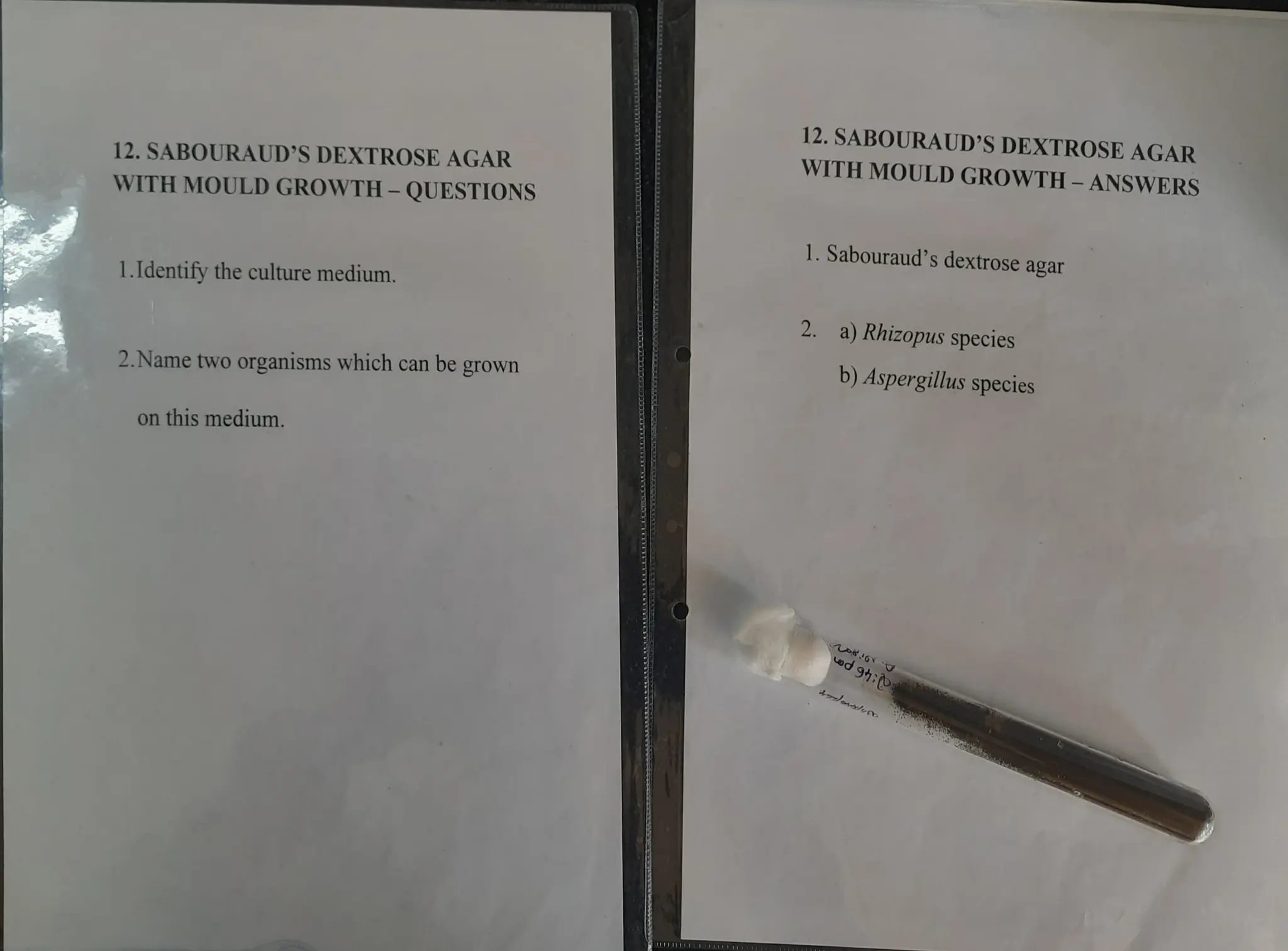 Manipal microbiology spotters 1st block.pdf