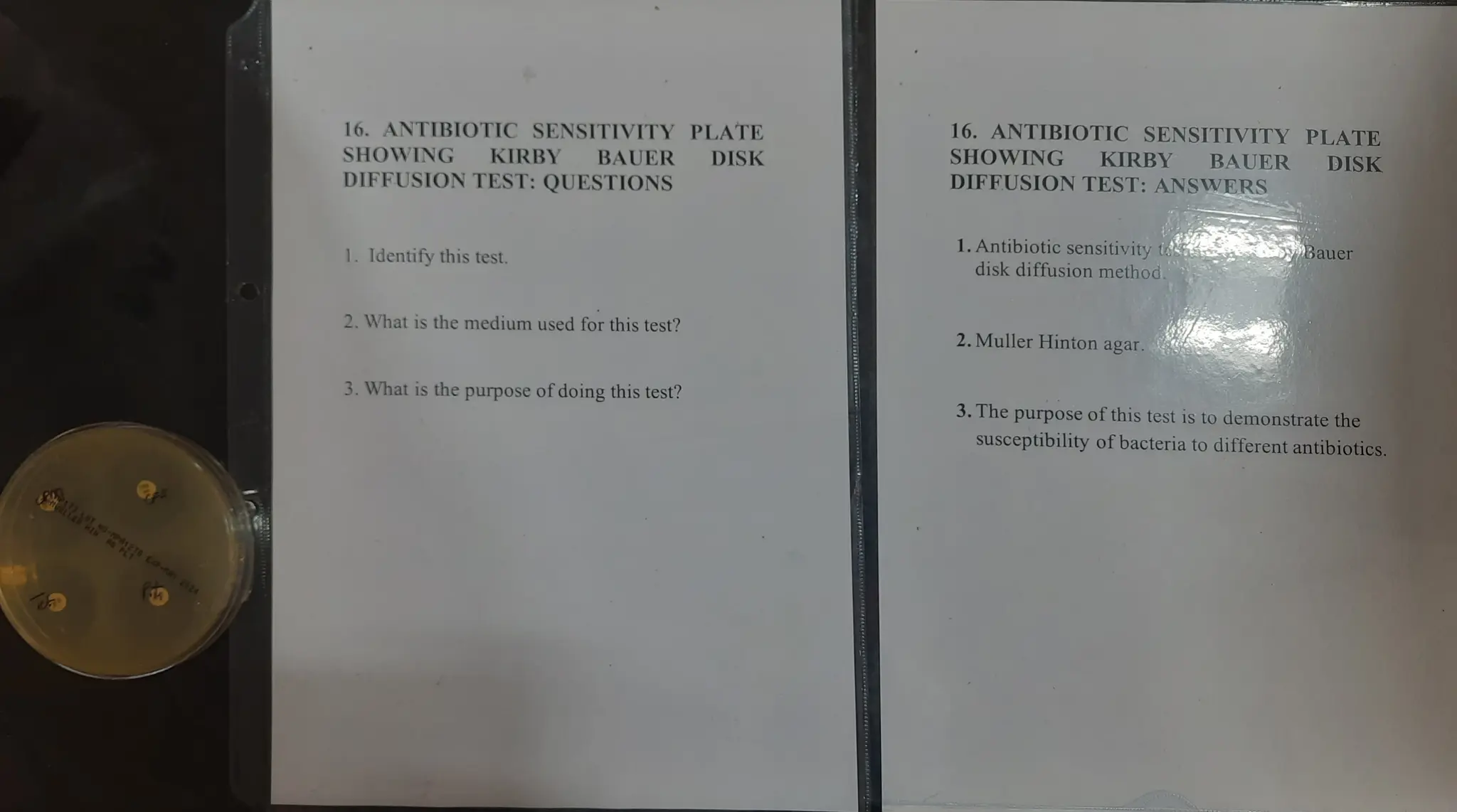 Manipal microbiology spotters 1st block.pdf