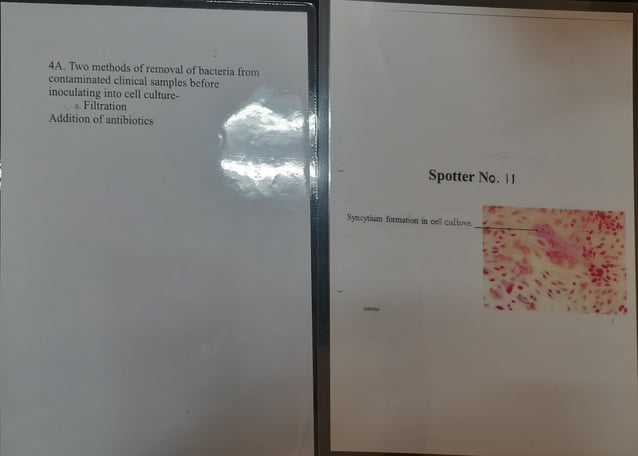 Manipal microbiology spotters 1st block.pdf