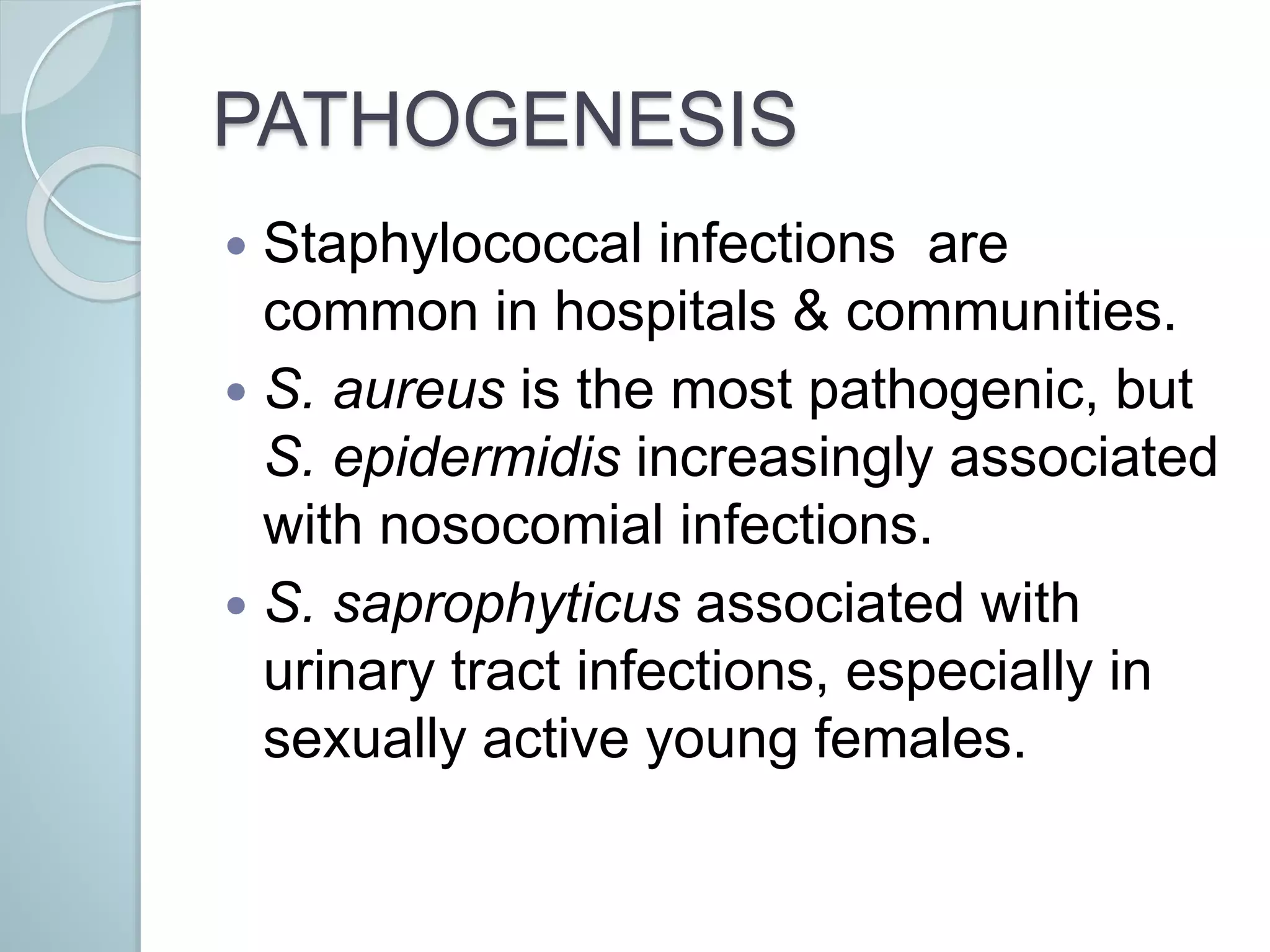 Microbiology staph presentation | PPTX