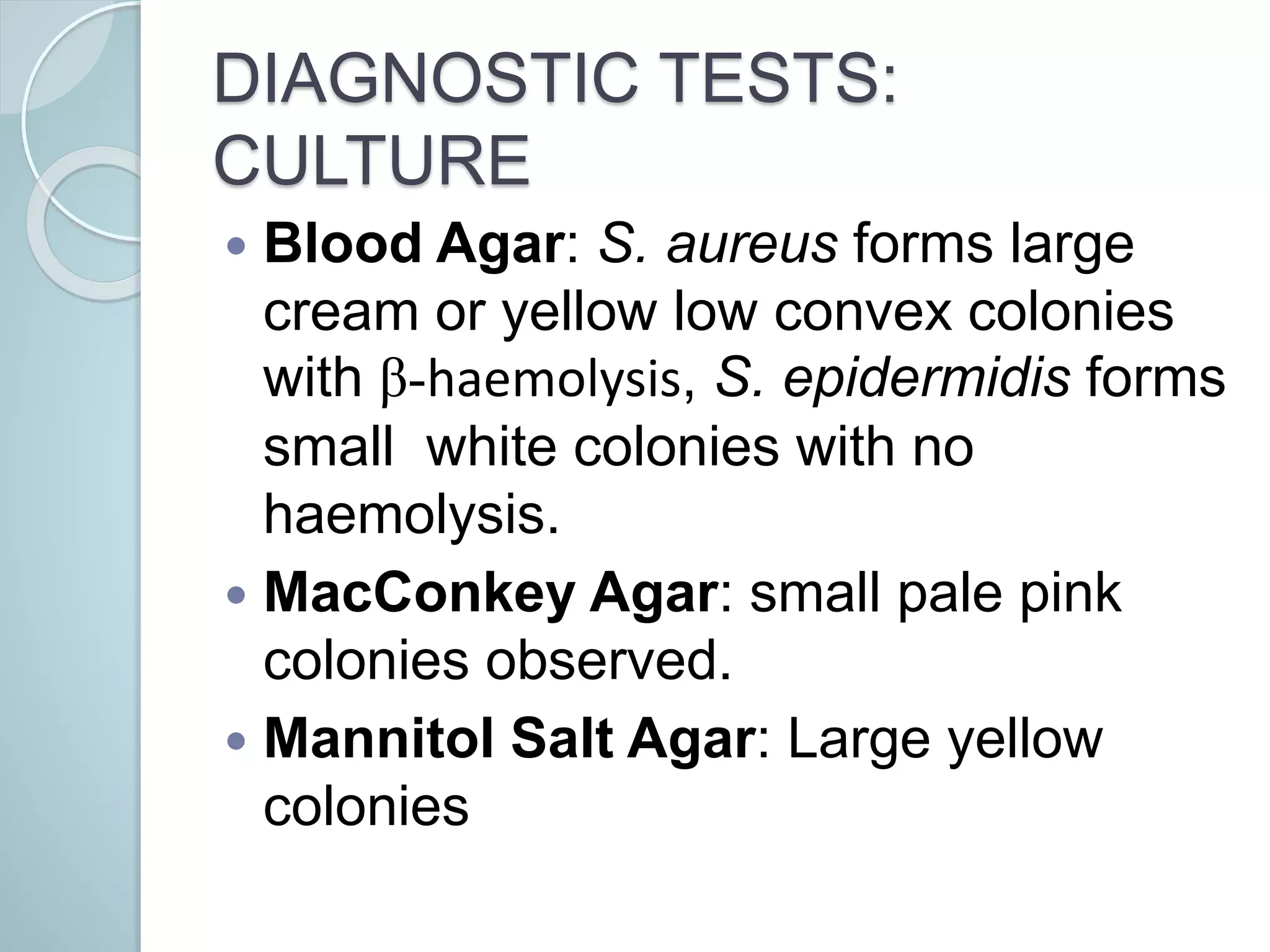 Microbiology staph presentation | PPTX