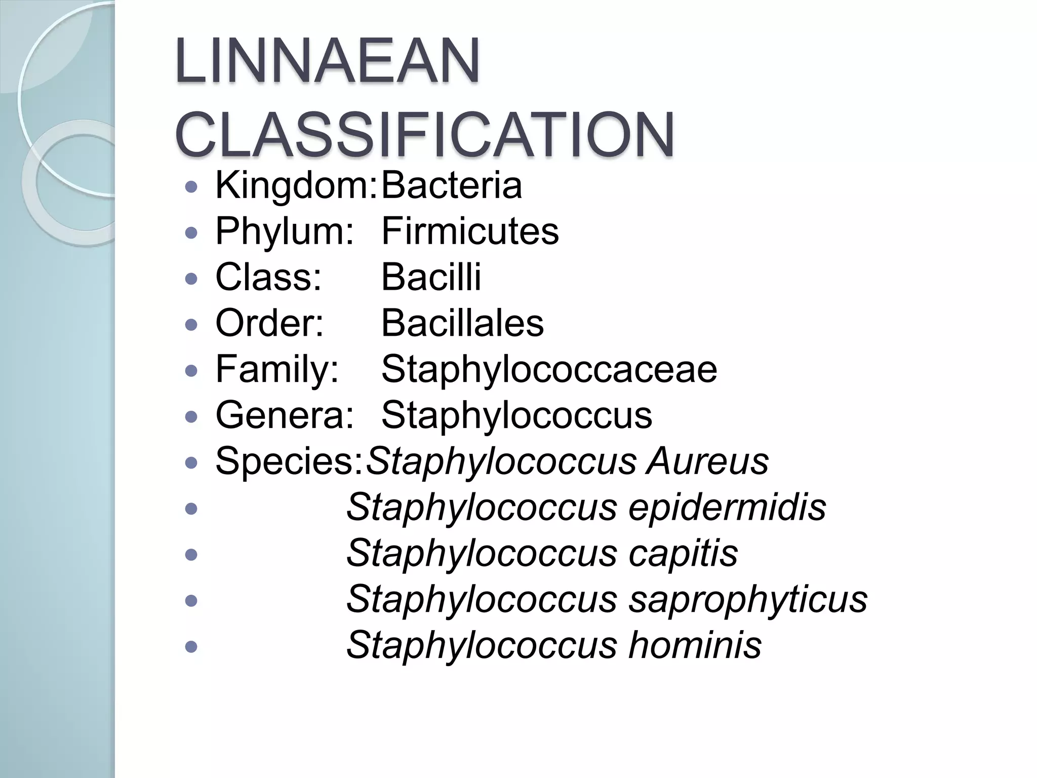 Microbiology staph presentation | PPTX
