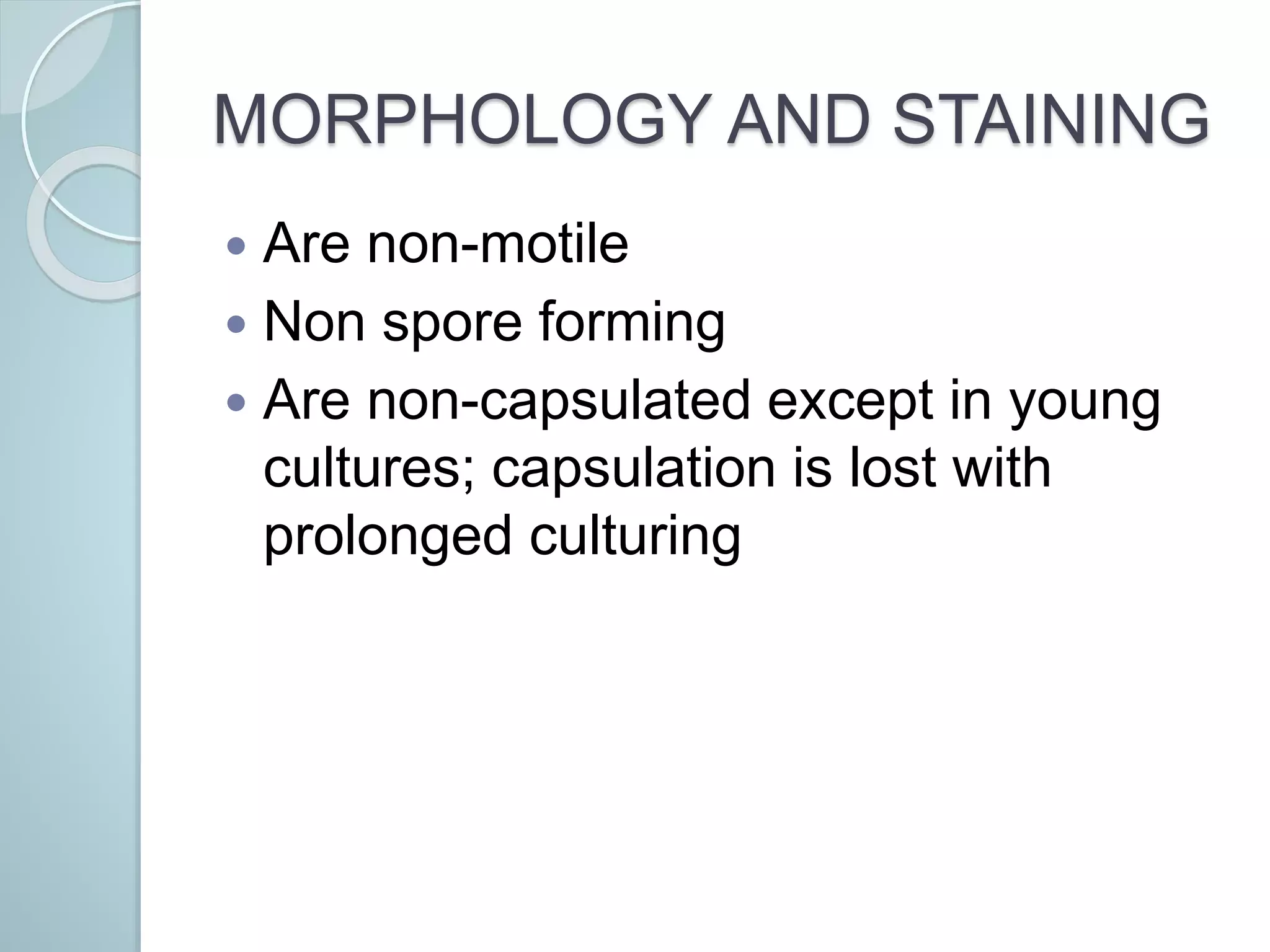 Microbiology staph presentation | PPTX