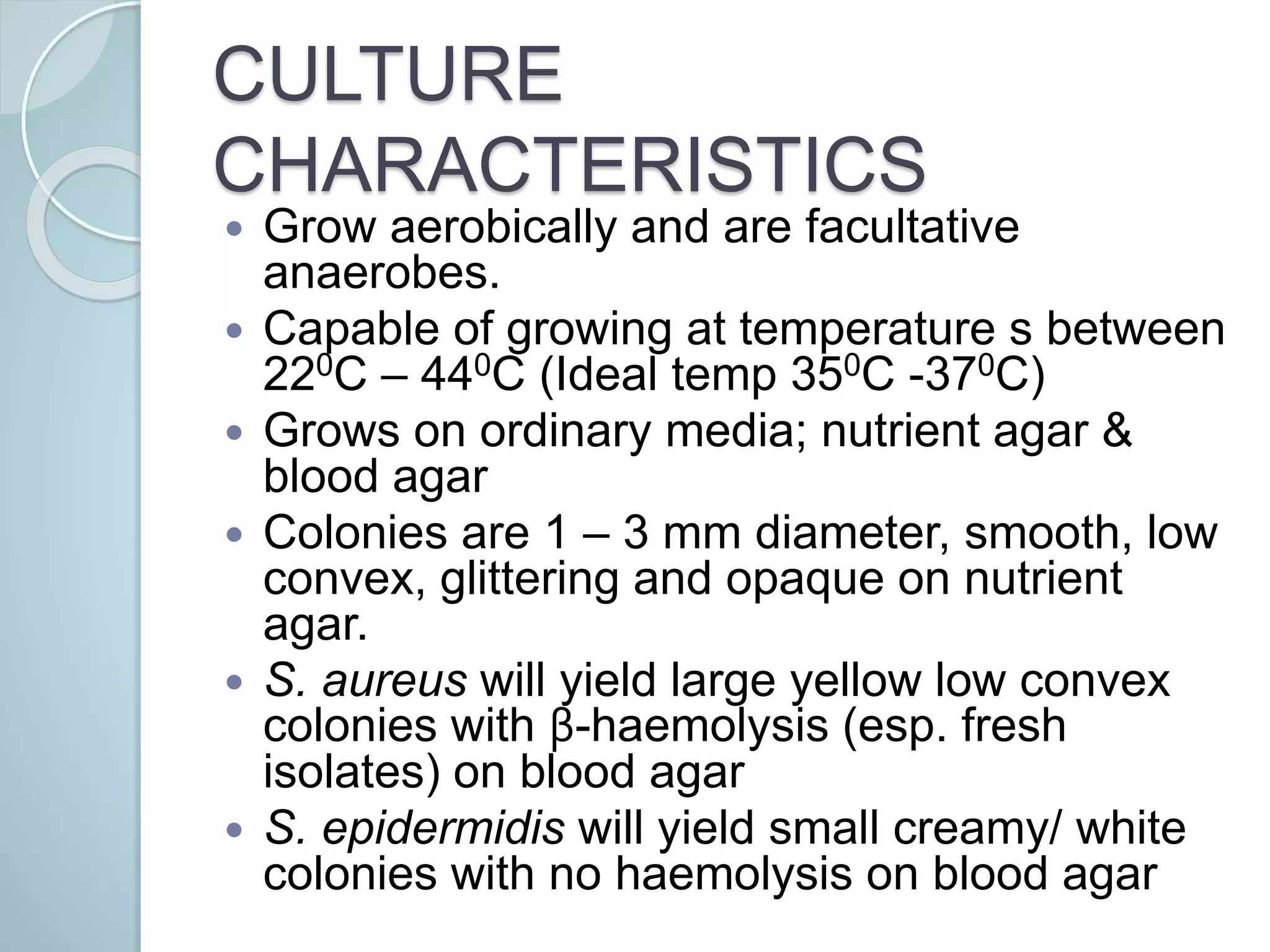 Microbiology staph presentation | PPTX