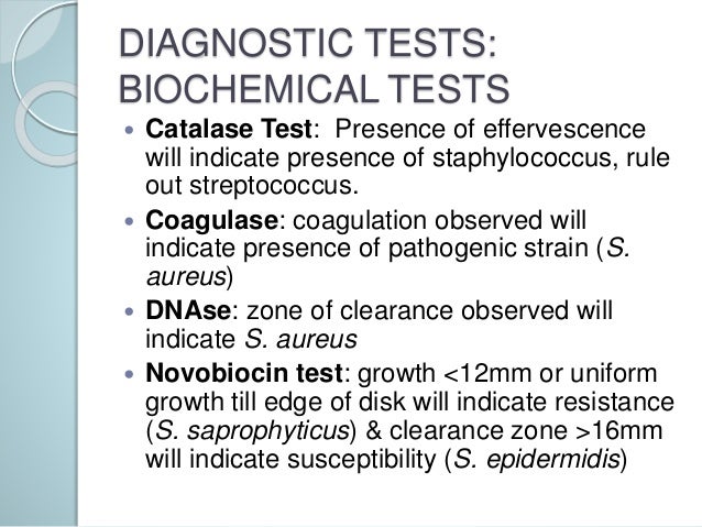 Microbiology staph presentation
