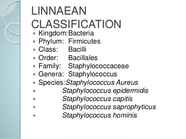 Microbiology staph presentation