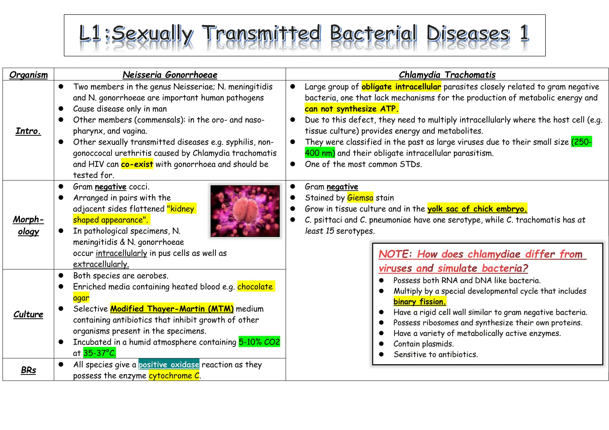 Microbiology Tables REPRO.pdf For Revision | PDF