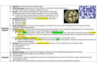 Microbiology Tables REPRO.pdf For Revision | PPT