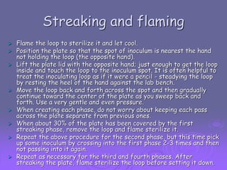 Microbiology Techniques | PDF