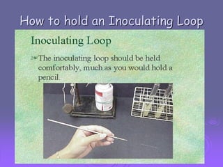 Microbiology Techniques | PDF