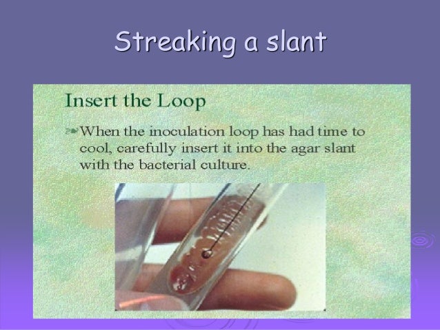 Microbiology Techniques