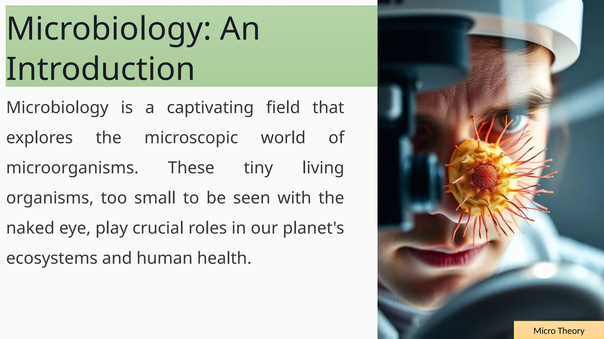 Microbiology theory introduction .pptx