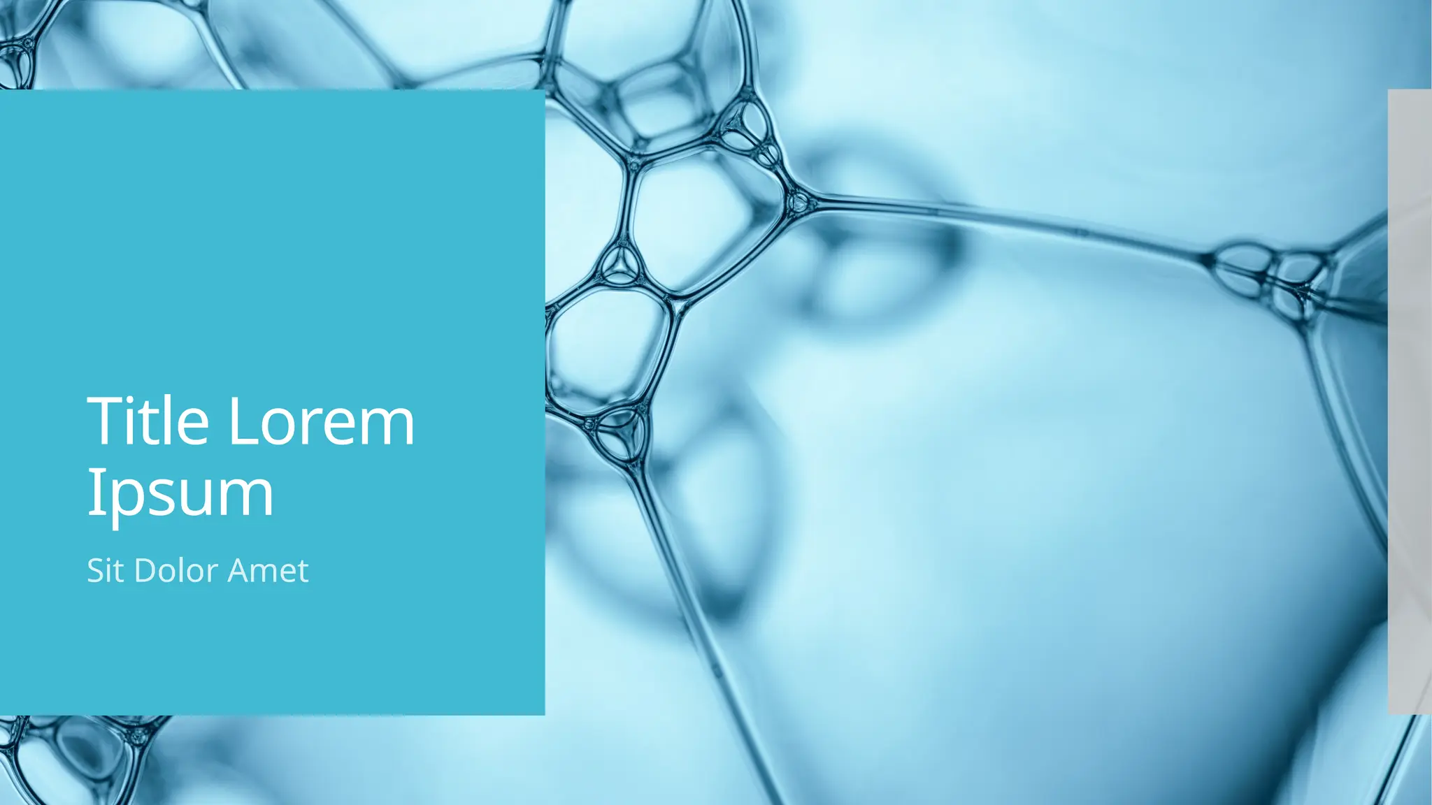 MICROBIOLOGY Title Lorem Ipsum Presentaion.pptx