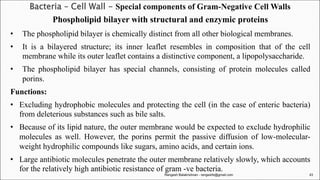 Bacteria: Structure, Morphology, and Cellular Components | PDF