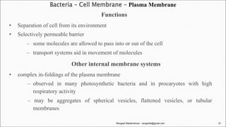 Bacteria: Structure, Morphology, and Cellular Components | PDF