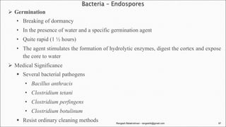 Bacteria: Structure, Morphology, and Cellular Components | PDF