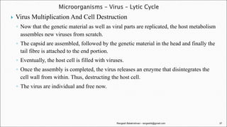 Viruses: Structure, Classification, and Replication | PDF