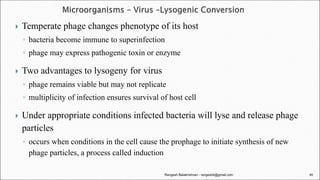 Viruses: Structure, Classification, and Replication | PDF