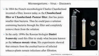 Viruses: Structure, Classification, and Replication | PDF