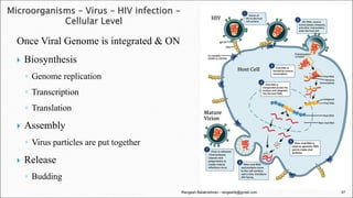 Viruses: Structure, Classification, and Replication | PDF