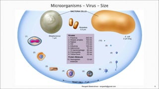 Viruses: Structure, Classification, and Replication | PDF