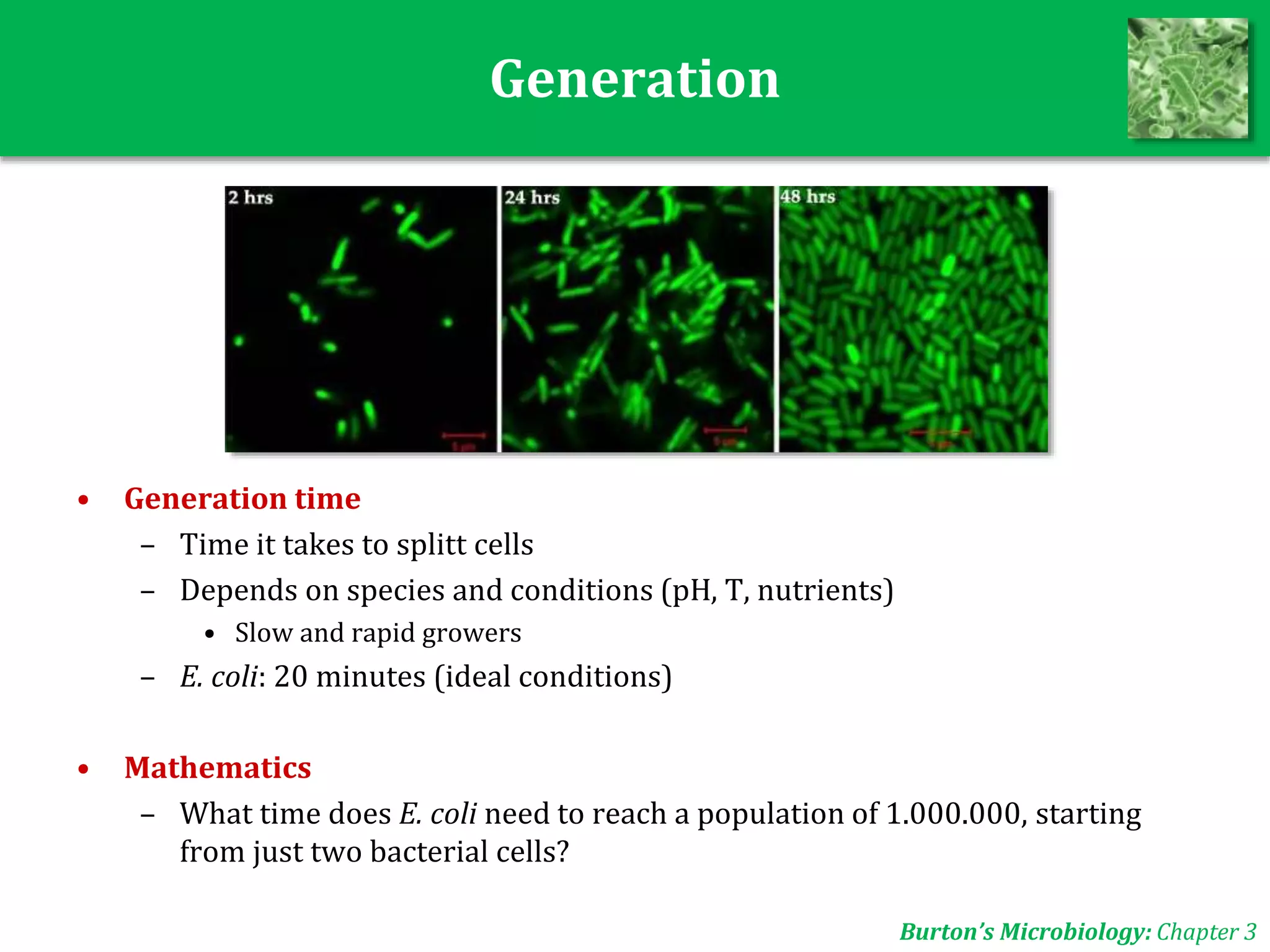 Microbiology Unit 2-3: Bacteria | PPTX