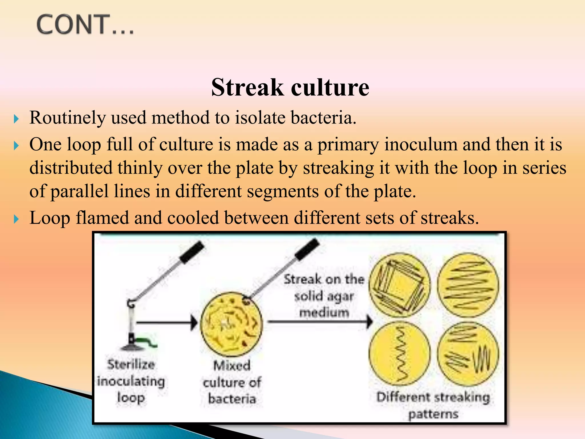 MICROBIOLOGY UNIT 2 MICROORGANISMS.pptx