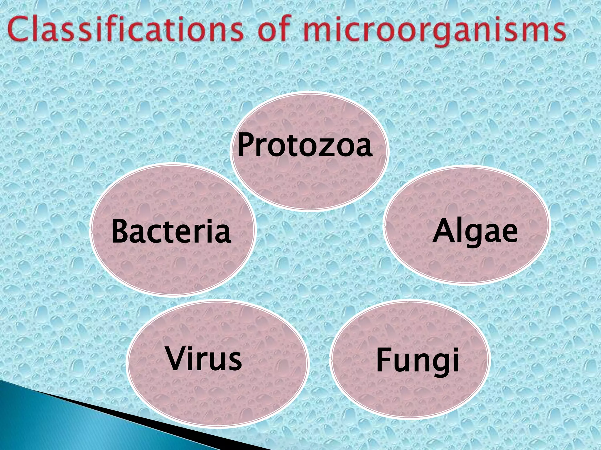 MICROBIOLOGY UNIT 2 MICROORGANISMS.pptx