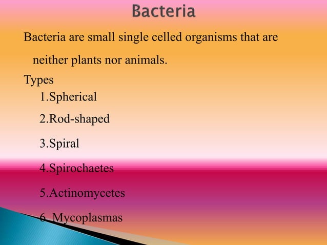 MICROBIOLOGY UNIT 2 MICROORGANISMS.pptx