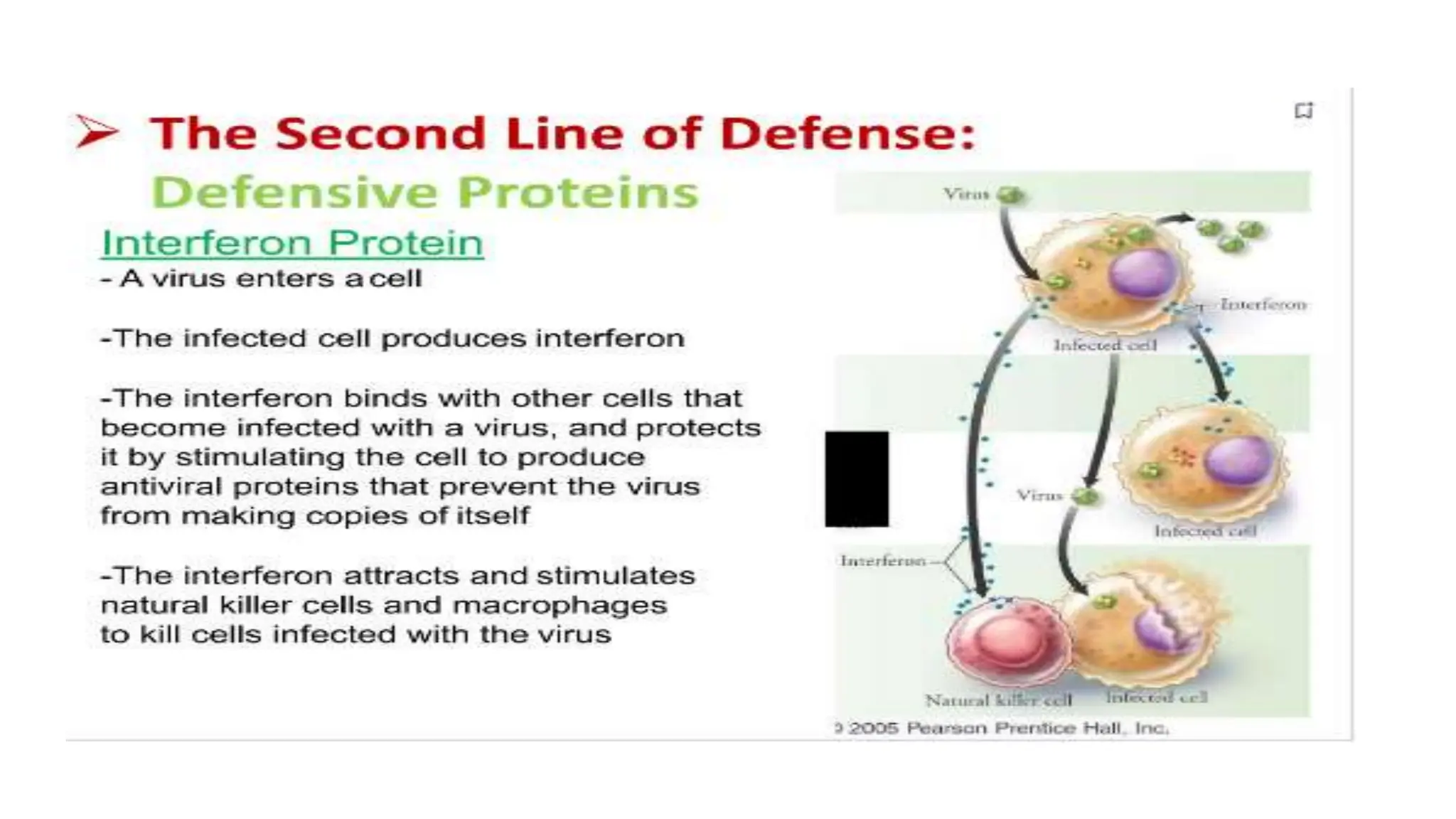 GBSN - Microbiology (Unit 3) Defense Mechanisms of the body | PPTX