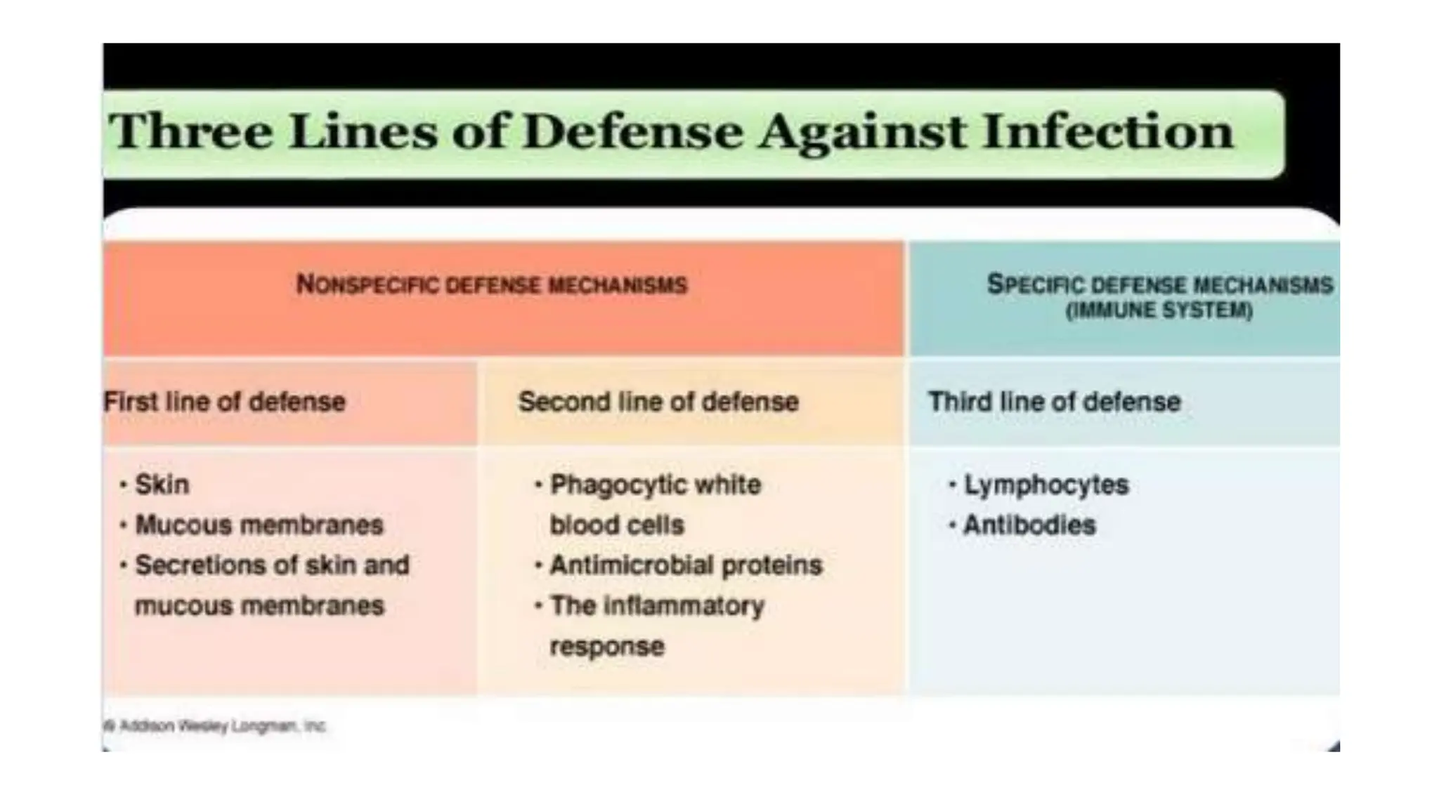 GBSN - Microbiology (Unit 3) Defense Mechanisms of the body | PPTX