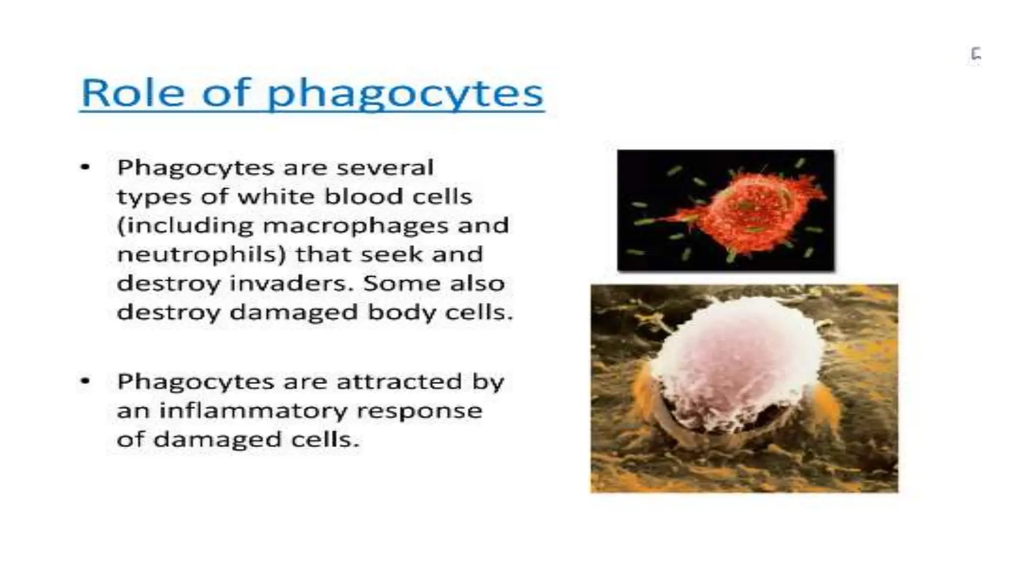 GBSN - Microbiology (Unit 3) Defense Mechanisms of the body | PPTX