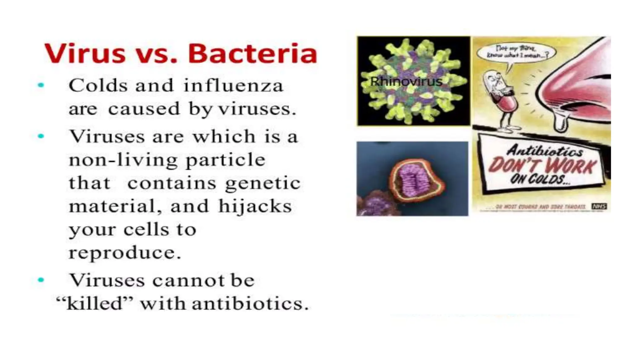 GBSN - Microbiology (Unit 3) Defense Mechanisms of the body | PPTX