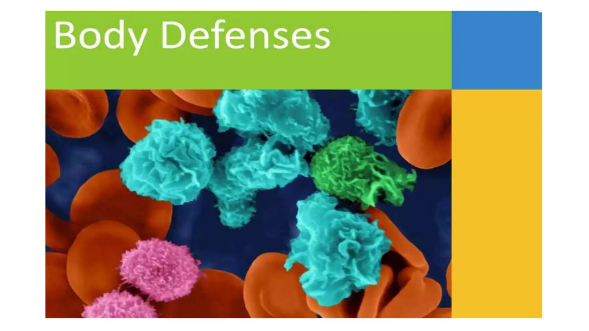 GBSN - Microbiology (Unit 3) Defense Mechanisms of the body | PPTX