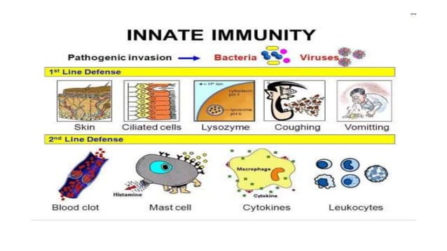 GBSN - Microbiology (Unit 3) Defense Mechanisms of the body | PPT