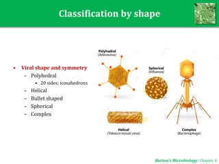 Microbiology UNIT 4: Viruses | PDF