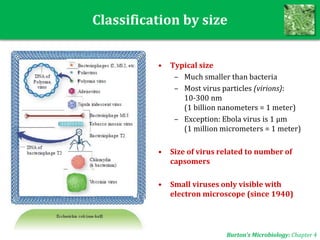 Microbiology UNIT 4: Viruses | PDF