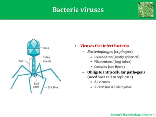 Microbiology UNIT 4: Viruses | PDF