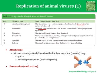 Microbiology UNIT 4: Viruses | PDF