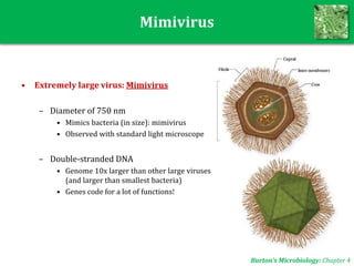 Microbiology UNIT 4: Viruses | PDF